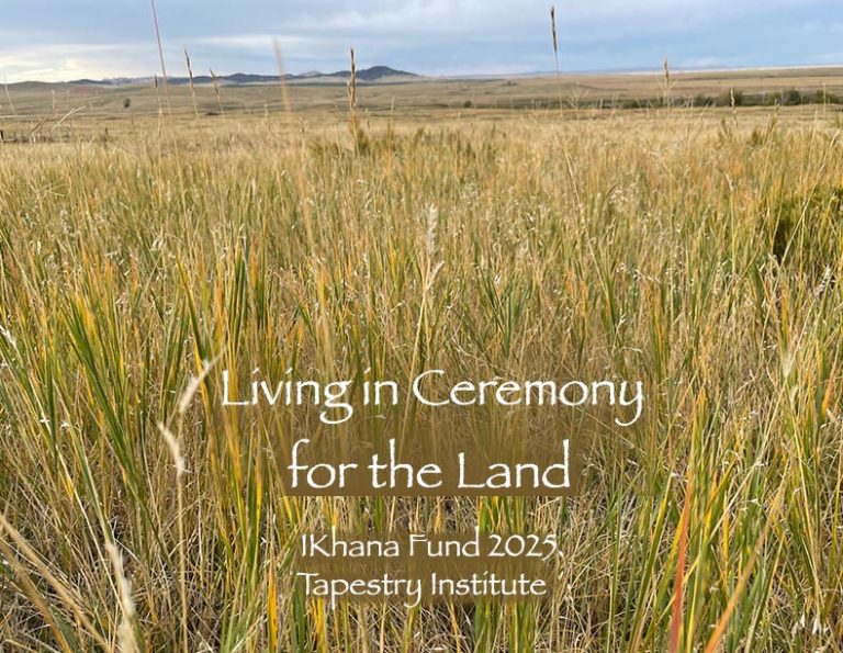 The Importance of Indigenous Science - Tapestry Institute