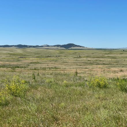 Prairie and Wetlands - Tapestry Institute